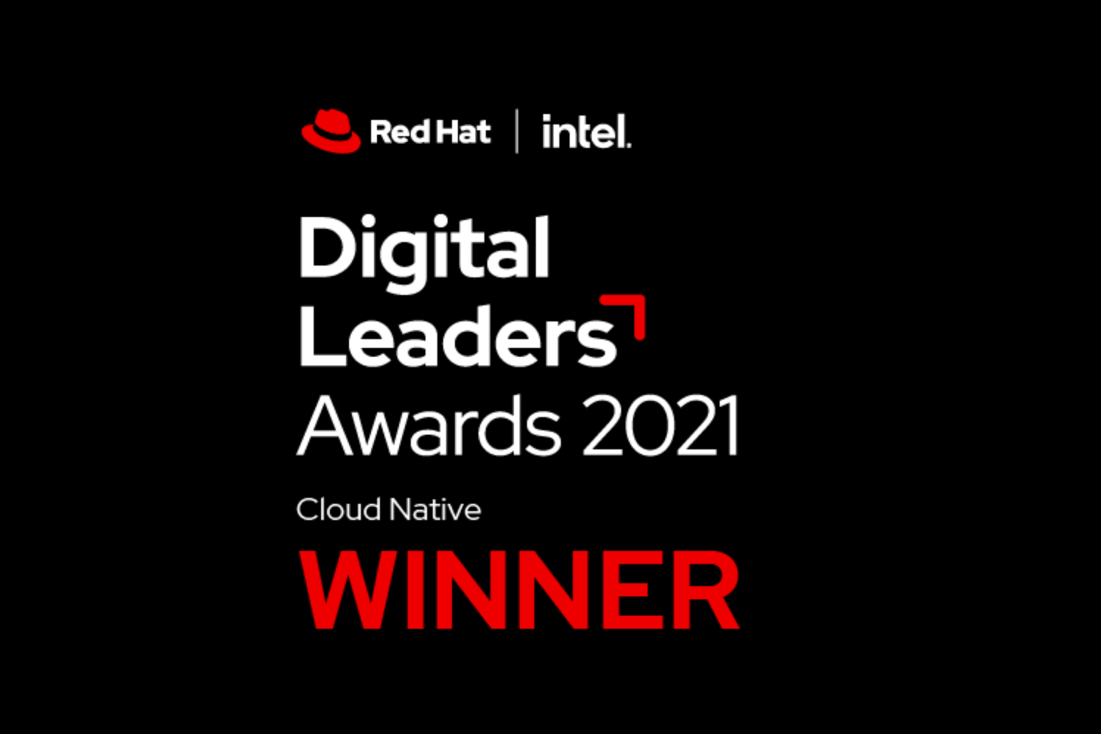 DAB won the Red Hat EMEA Digital Leaders Awards 2021 | DAB Pumps